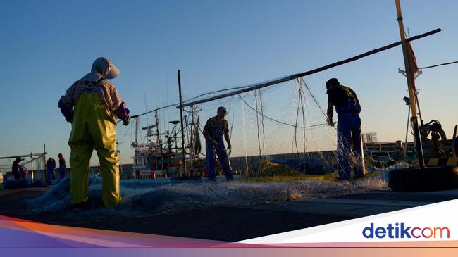 Jepang Sedia Dana Bantuan Industri Perikanan, Imbas Pelepasan Fukushima