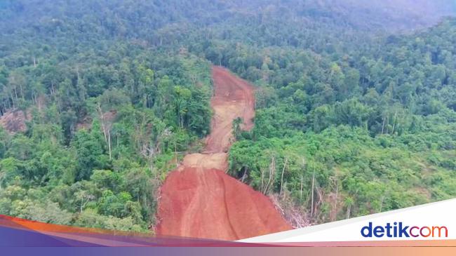 Mengenal Togutil, Suku Primitif yang Mendiami Hutan Halmahera Timur