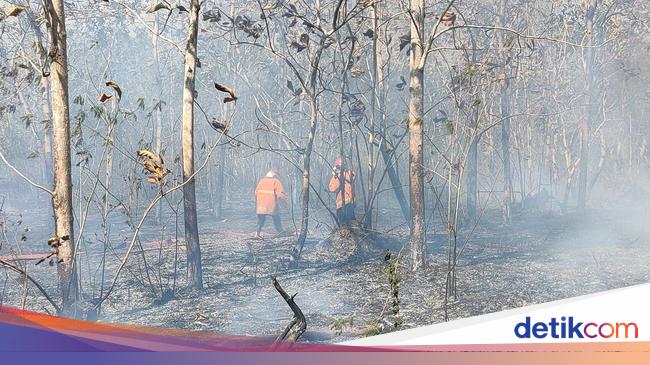 Kebakaran Lahan di Dekat Permukiman-Rusunawa Giripeni Kulon Progo