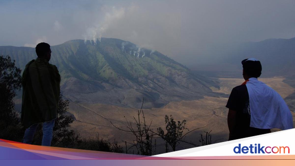 Rute, Lokasi dan Daya Tarik Bukit Premium Pasuruan, Spot Wisata Baru 2025