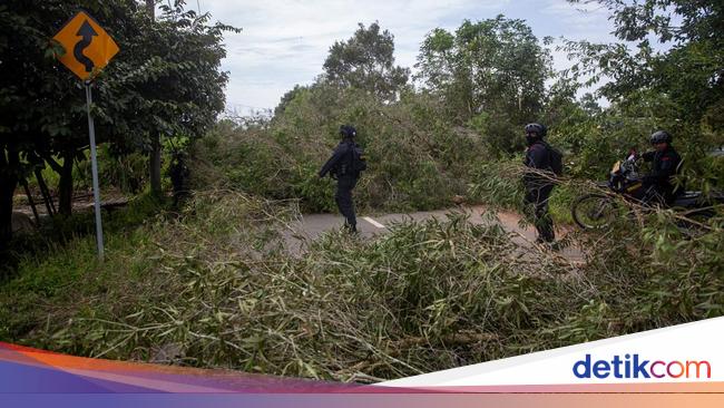 Soal Konflik di Pulau Rempang, Anak Buah Bahlil Bilang Begini Soal Konflik di Pulau Rempang, Anak Buah Bahlil Bilang Begini