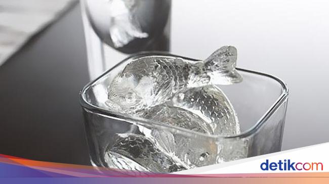 Unik! 10 Es Batu Ini Berbentuk Ikan hingga Gigi Manusia