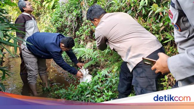 Pasutri Tasikmalaya Tega Buang Bayi ke Sungai gegara Malu