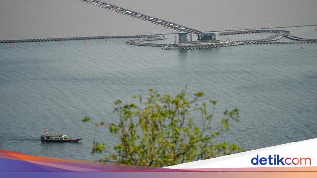 Potret PLTS Terapung Cirata, Terbesar di ASEAN Potret PLTS Terapung Cirata, Terbesar di ASEAN