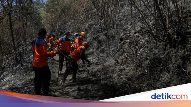 Buntut Kebakaran di Bromo, Pemerintah Diminta Buat Sistem Pencegahan ...