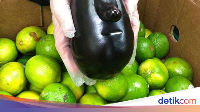 Unik! Sayur dan Buah Ini Bentuknya Mirip Wajah Manusia hingga Hewan