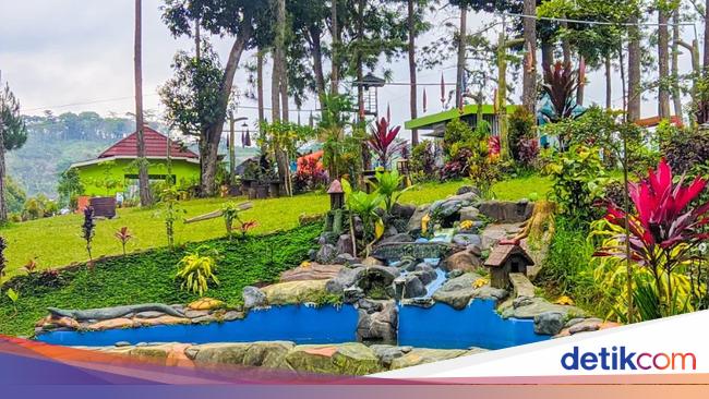 Bumi Perkemahan Wana Wisata Alastuwo: Lokasi, Harga hingga Tips Camping