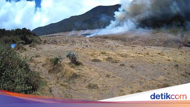 Alun-alun Suryakencana Gunung Gede Terbakar, Taman Edelweiss Terancam