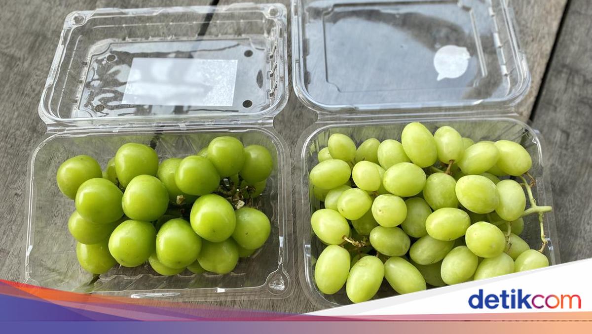 Adu Rasa Anggur Muscat Viral VS Anggur Ivory, Mana yang Lebih Juicy?