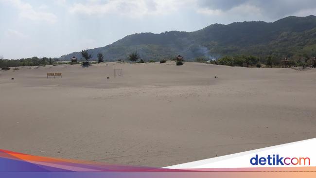 Restorasi Tahap Awal Gumuk Pasir Parangtritis Mulai Tahun Ini hingga 2029