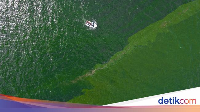 Warna Air Laut di Dunia Banyak yang Berubah, Ternyata Ini Penyebabnya