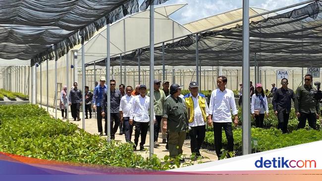 Jokowi Ungkap Persemaian Mentawir Produksi 15 Juta Bibit untuk Hijaukan IKN