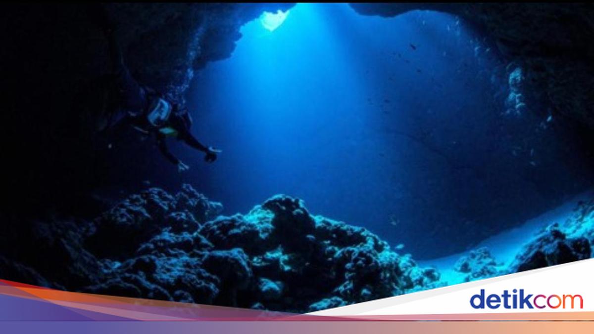 Hanya 42% Wilayah Bumi Sudah Dijelajahi, Sisanya Masih Misteri