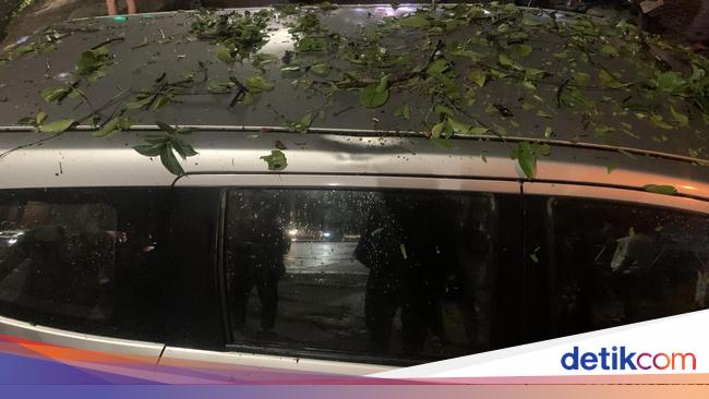 2 Mobil Penyok Tertimpa Pohon Tumbang di Medan, Pemilik Histeris