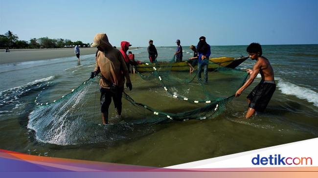 Nelayan Sultra Jaring Ikan untuk Dibagi-bagikan ke Warga