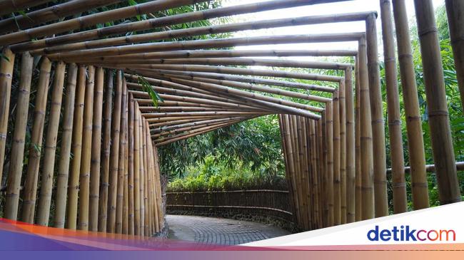 Wisata Tersembunyi di Desa Penglipuran Itu Bernama Hutan Bambu