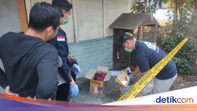 Mayat Bayi Dibuang Dalam Kardus Beserta Kertas dan Kafan Gegerkan Pasuruan