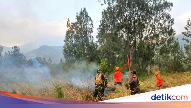 Pelaku Pembakaran Hutan dan Lahan di Ijen Bondowoso Diamankan
