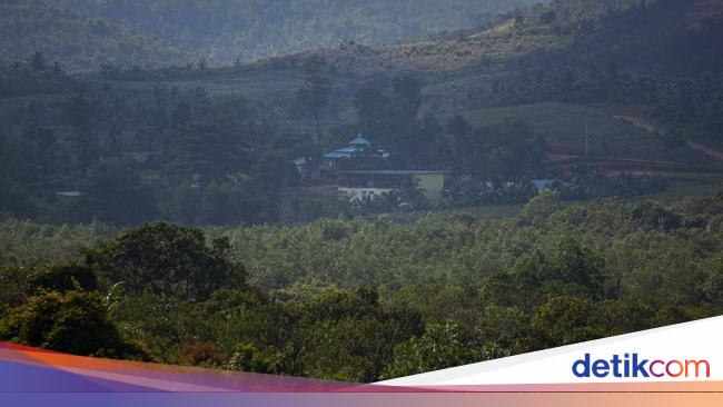 Bagaimana Kondisi Rempang Saat Ini? Begini Penjelasan BP Batam