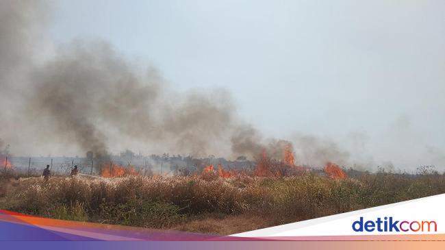3 Hektare Lahan Dekat Bandara Kertajati Majalengka Terbakar