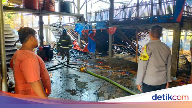 Kebakaran Kandang di Blitar, 8 Ribu Ayam Broiler Terpanggang