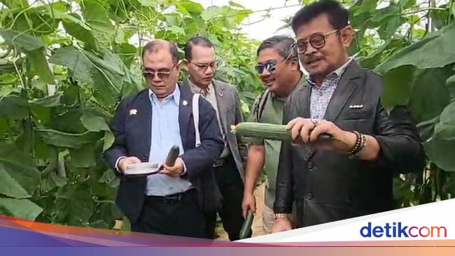 Ini Kerjaan Mentan di Spanyol Saat Rumah Dinas-Kantornya Digeledah KPK