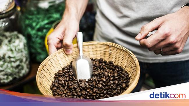 5 Fakta Kopi Blue Batak, Kopi 'Hidden Gem' Sumatera yang Unik