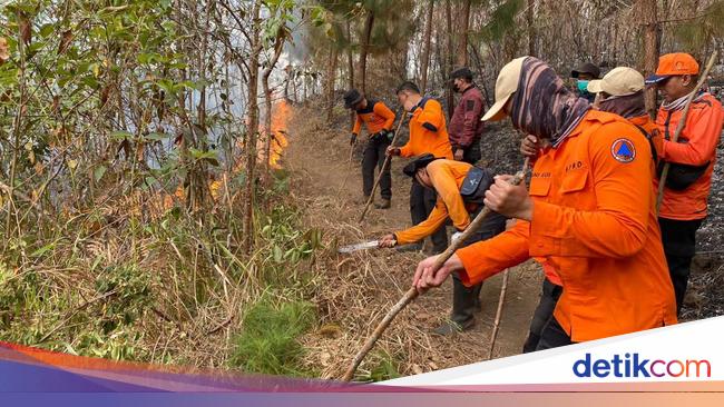 BPBD Jatim Siapkan Water Bombing Tangani Kebakaran di Gunung Lawu
