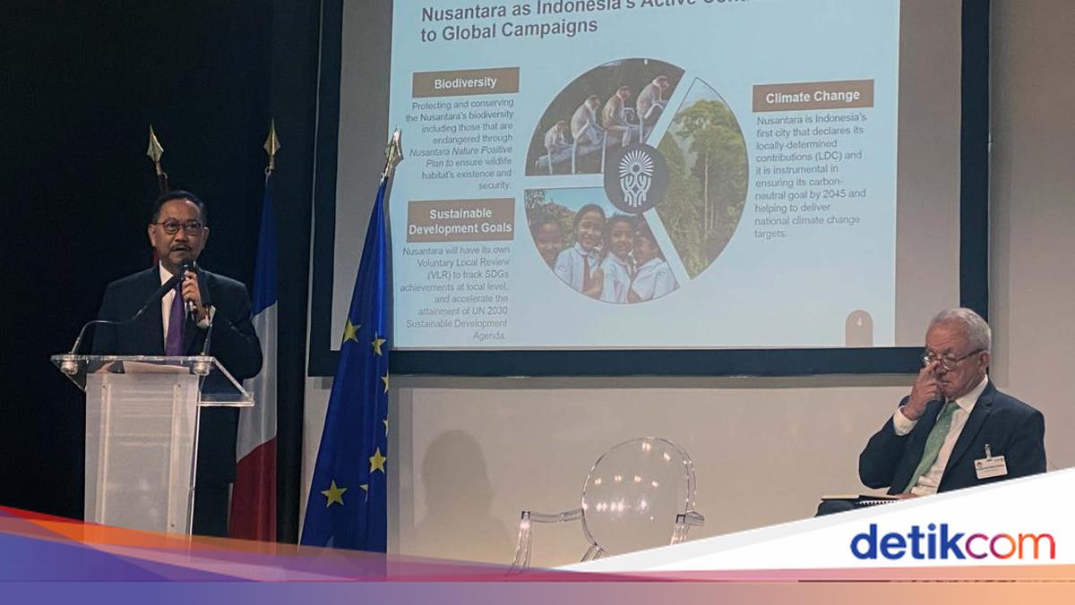 Bos Otorita Yakinkan Investor: 10 Tahun ke Depan IKN Tetap Program ...