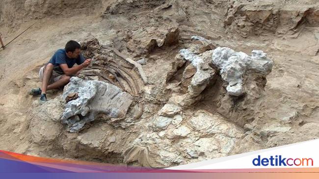 Ilmuwan Kuak Dinosaurus Leher Panjang yang Belum Pernah Ditemukan ... Ilmuwan Kuak Dinosaurus Leher Panjang yang Belum Pernah Ditemukan ...