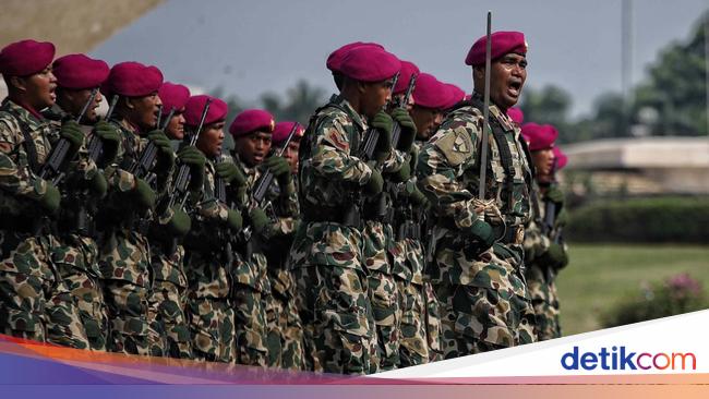 Ini Perbedaan Tamtama, Bintara, dan Perwira dalam Kepangkatan TNI