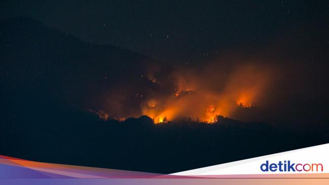 Lokasi Sulit Pemadaman Manual Di Gunung Lawu Karanganyar Dihentikan