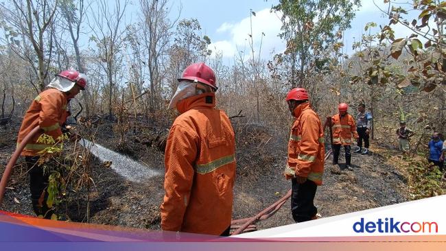 3 Hektare Lahan di Bukit Menoreh Kulon Progo Hangus gegara Bakar Sampah