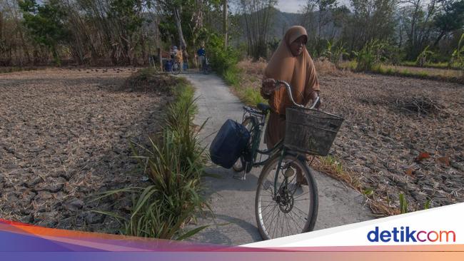 BMKG Prediksi El Nino Akan Berlangsung hingga Maret 2024 BMKG Prediksi El Nino Akan Berlangsung hingga Maret 2024
