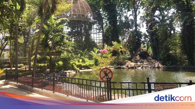 Taman di Surabaya Harus Tetap Hijau Meski Musim Sedang Kemarau