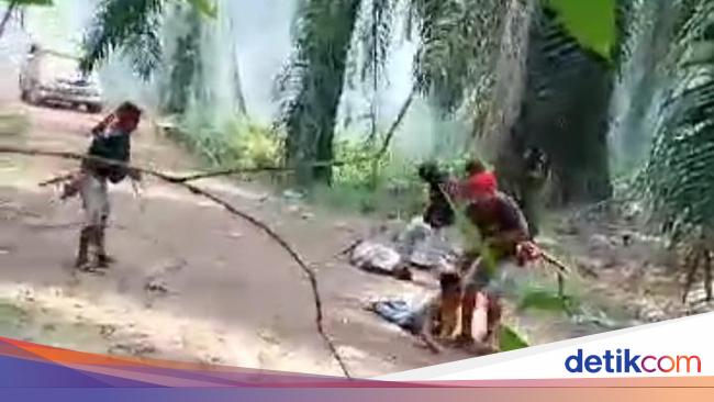 Demo Warga di Kebun Sawit Seruyan Ricuh, 1 Orang Tewas Tertembak