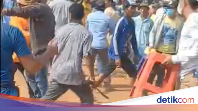 Ricuh Karapan Sapi di Bangkalan, 3 Orang Dilarikan ke Rumah Sakit