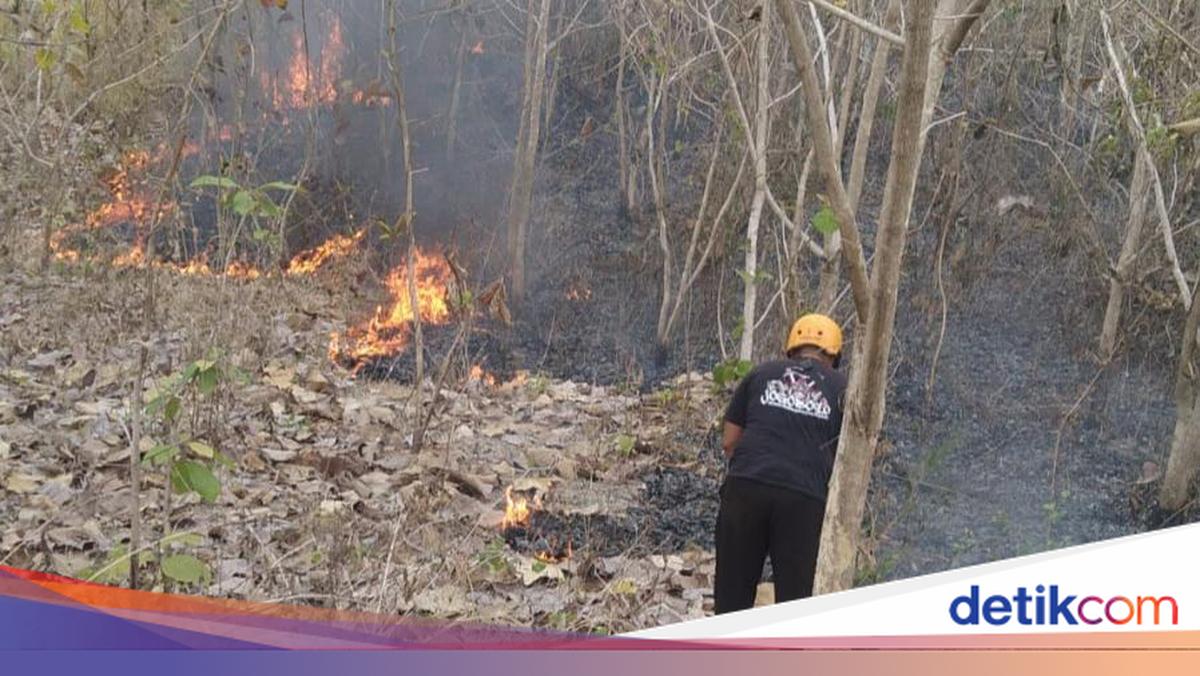 Sempat Padam, Api Kembali Muncul di Lokasi Kebakaran Lahan Bayat Klaten
