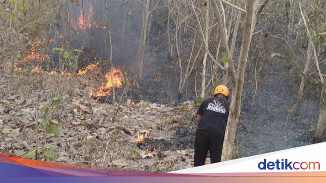 Sempat Padam, Api Kembali Muncul di Lokasi Kebakaran Lahan Bayat Klaten