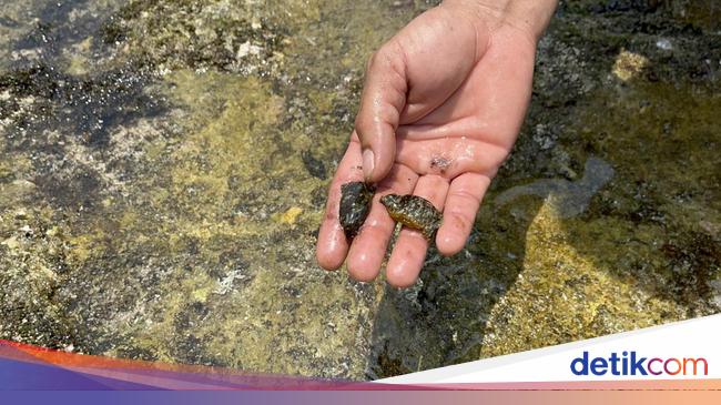 Kondisi Terkini Pantai Krakal Gunungkidul Usai Muncul Gumpalan Hitam