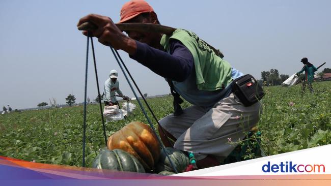 Lembaga Ekonomi: Pengertian, Fungsi, Unsur, dan Jenis