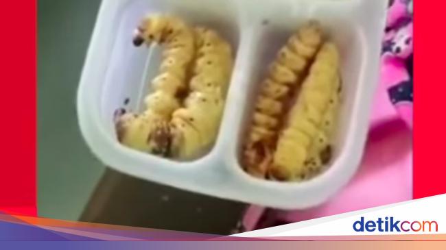 Ucapan Soal Bekal Ulat Sagu Siswa SD Disorot, Guru Minta Maaf