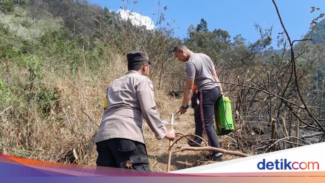 Polisi-Relawan Sisir Titik Api Gunung Ungaran, Kebakaran Dipastikan Padam
