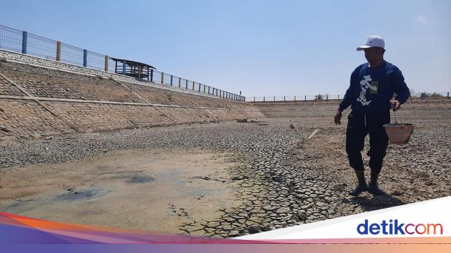 Desa Kekeringan di Pati Bertambah, Status Tanggap Darurat Diperpanjang