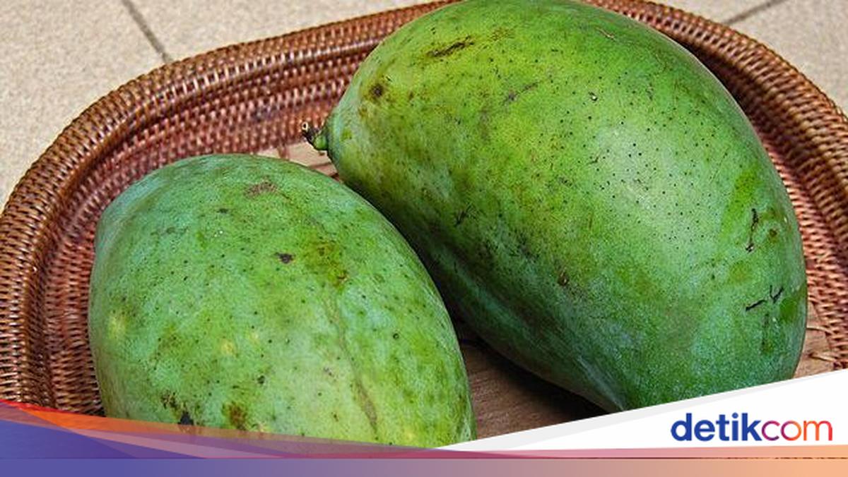 Mengenal Mangga Manalagi, Tips Memilih Hingga Resep Olahannya