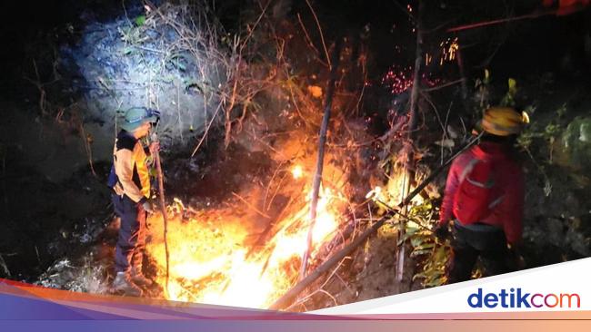 BPBD Jatim Ungkap Kondisi Terkini Usai Gunung Lawu Kembali Terbakar
