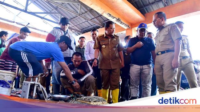 Danny Minta TPI Paotere Kembali Dikelola Pemkot Makassar: Tidak Terurus