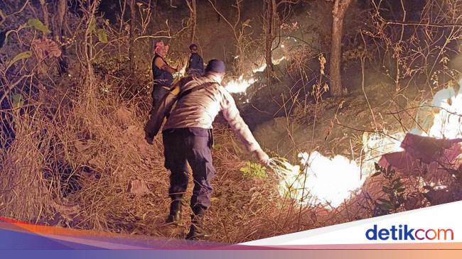 Karhutla di Kaki Gunung Sewo Soppeng Kembali Terjadi, 23 Hektare Lahan Hangus