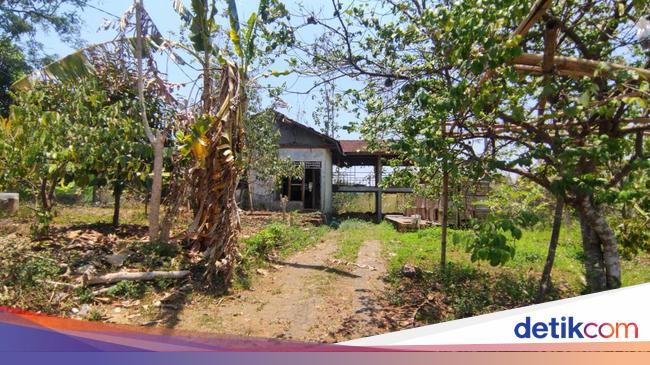 Cepoko di Semarang Dulu Ramai di Akhir Pekan, Kini Jadi Kampung Mati