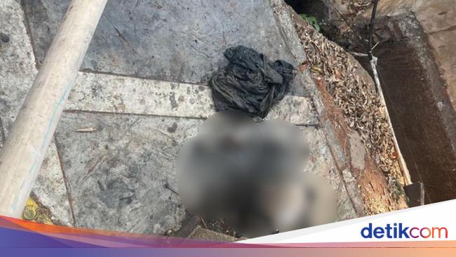 Geger Temuan Tengkorak di Gorong-gorong Jaktim Bikin Kaget Warga